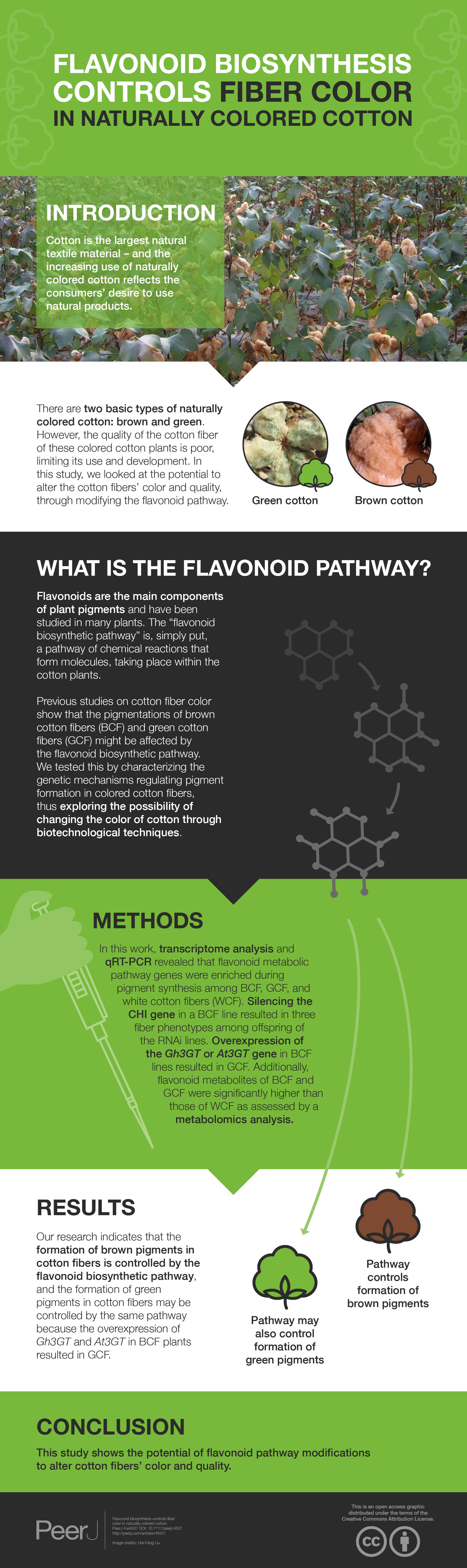Flavonoid biosynthesis controls fiber color in naturally colored cotton ...