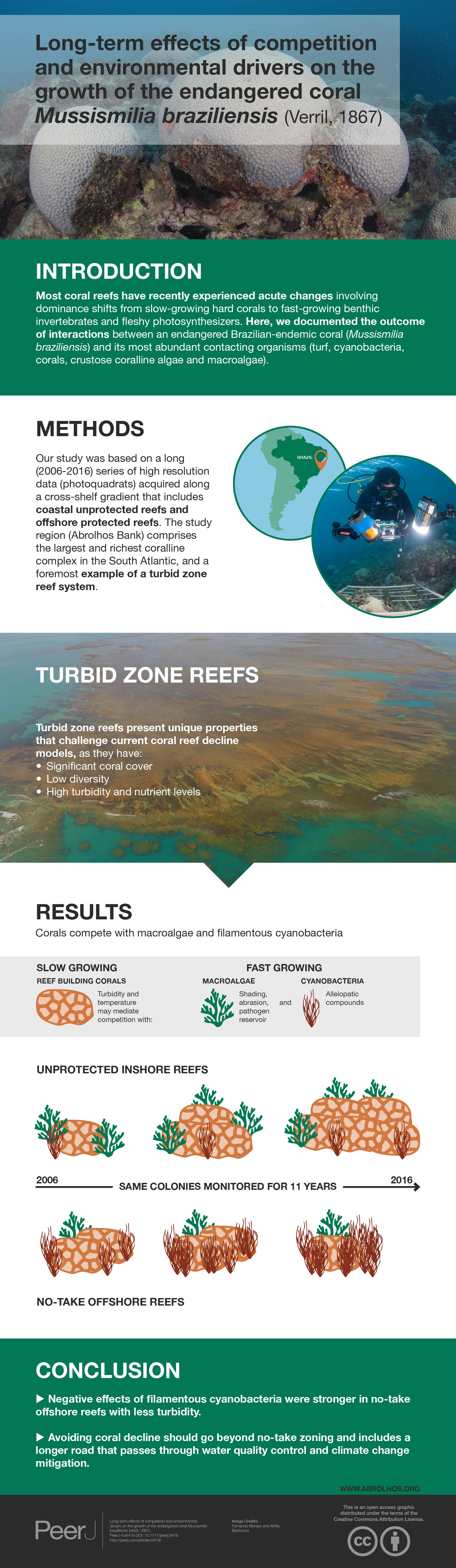 Long-term effects of competition and environmental drivers on the ...