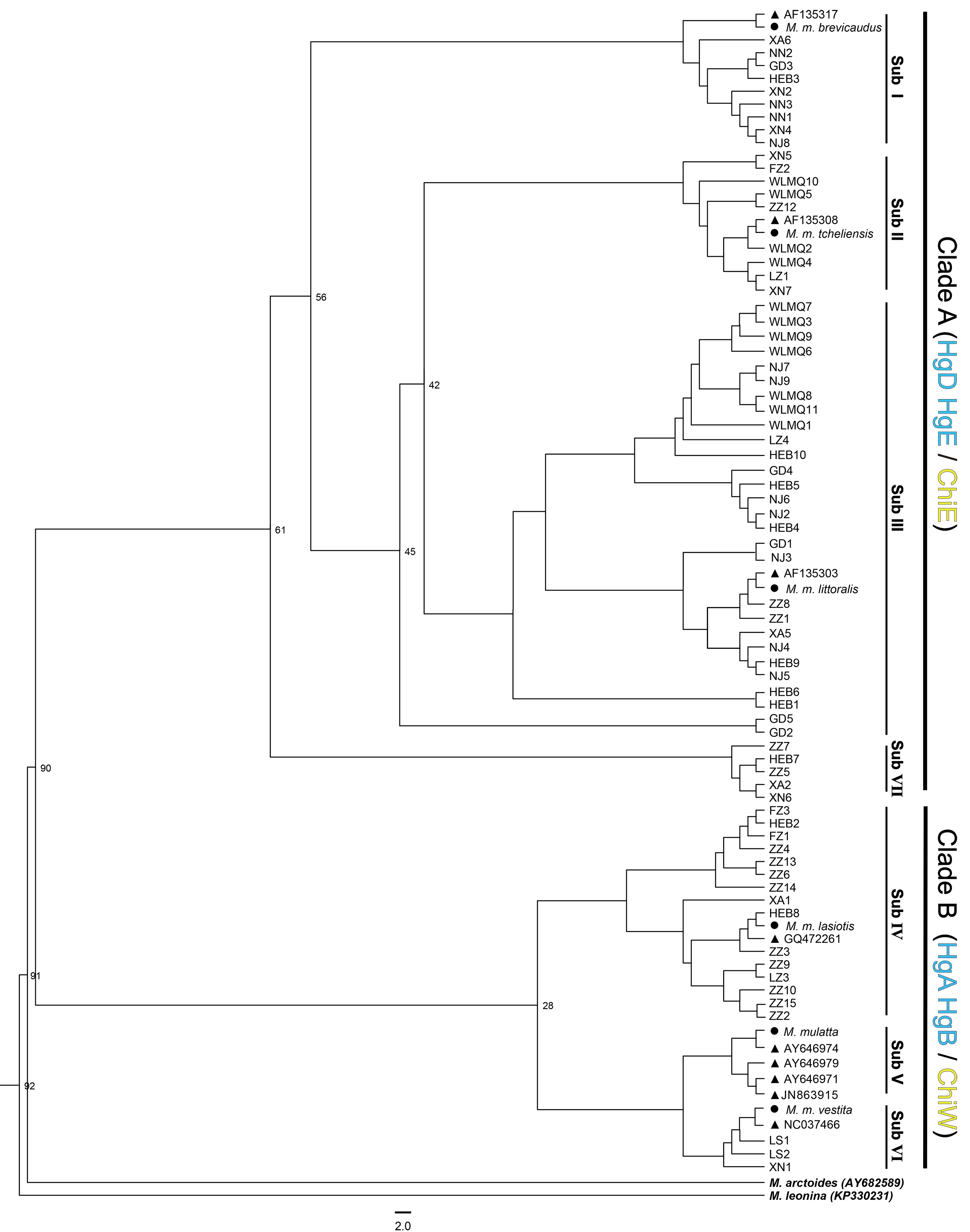 Genetic diversity and phylogenetic analyses of 11 cohorts of captive ...