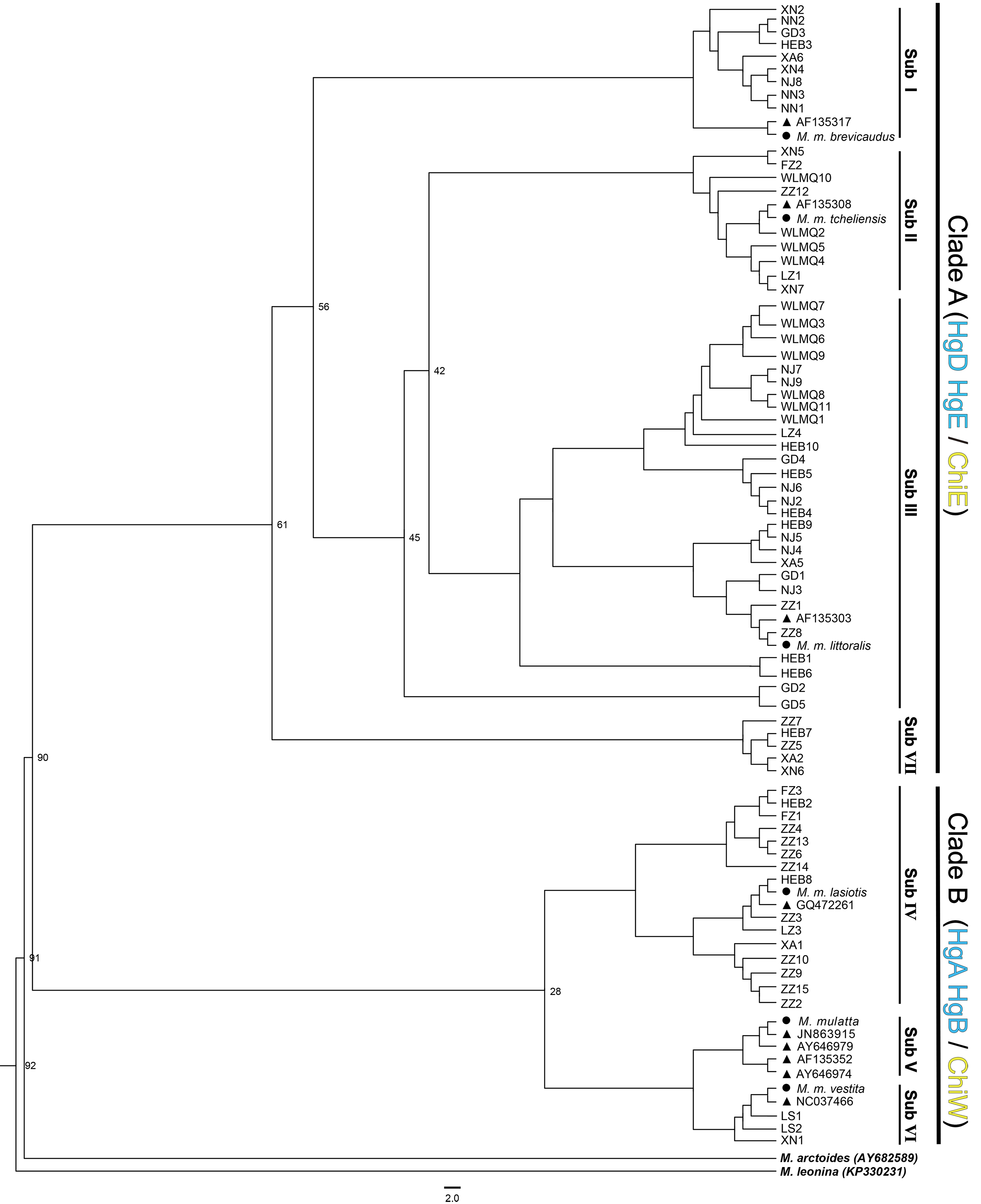 Genetic diversity and phylogenetic analyses of 11 cohorts of captive ...