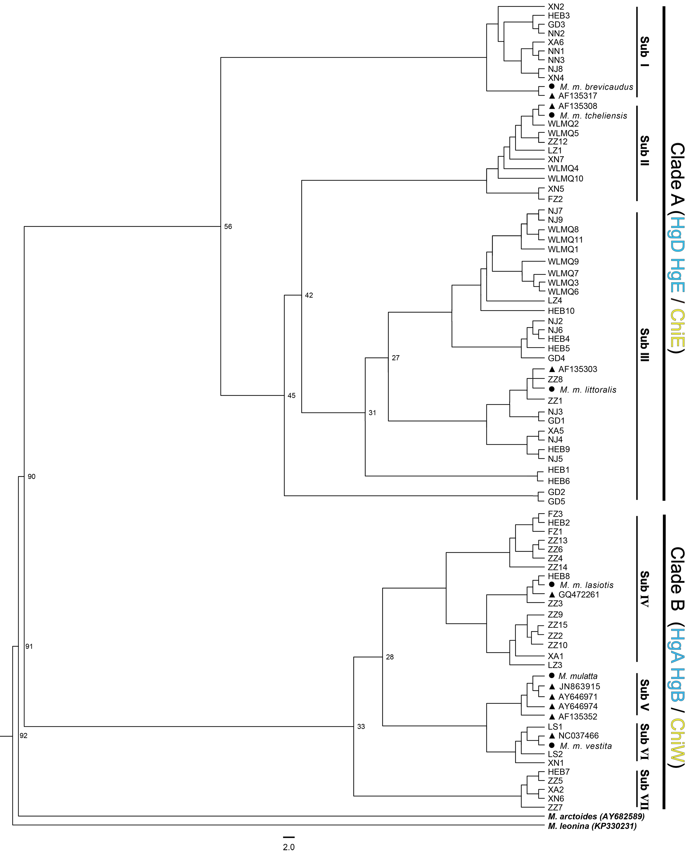Genetic diversity and phylogenetic analyses of 11 cohorts of captive ...