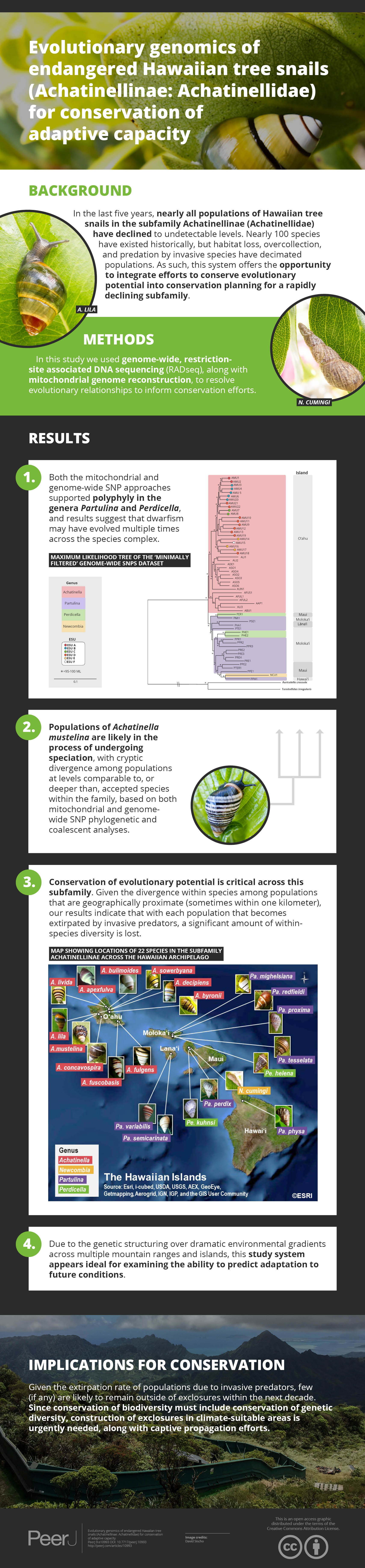 Evolutionary genomics of endangered Hawaiian tree snails ...