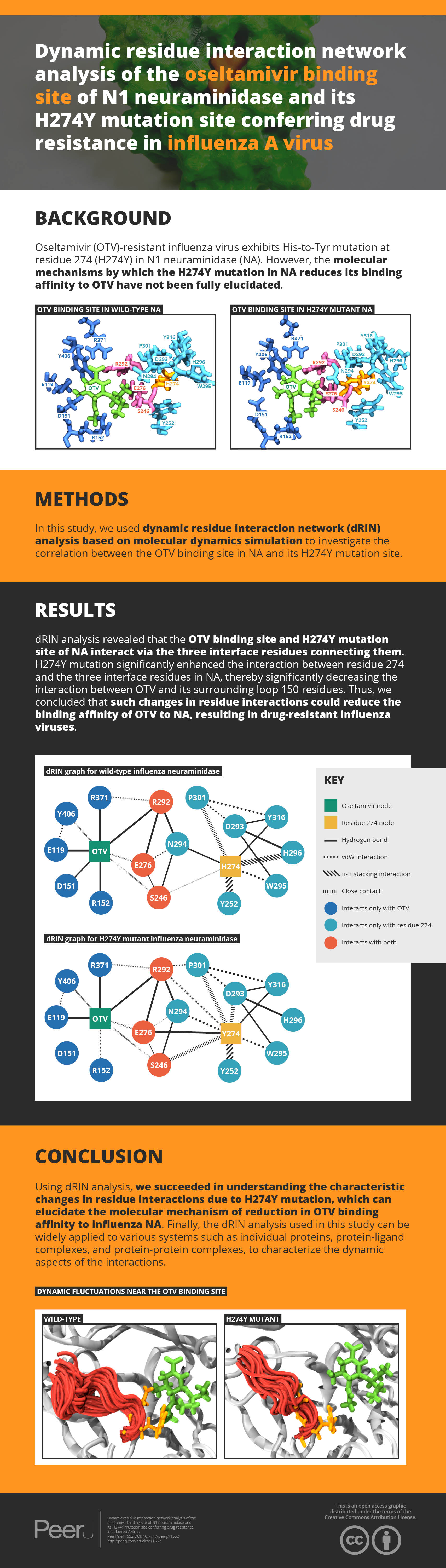 Dynamic residue interaction network analysis of the oseltamivir binding ...