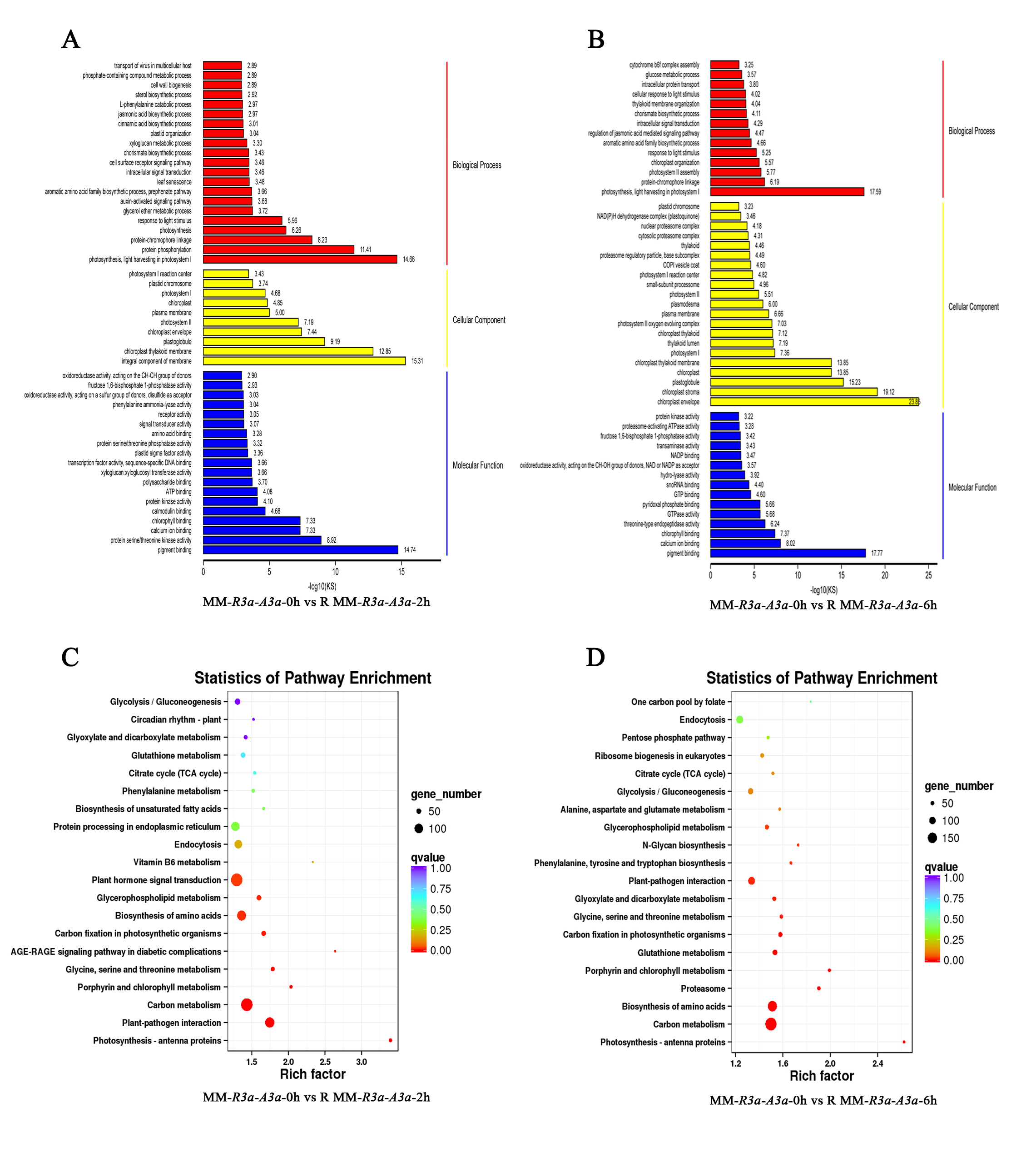 Comparative transcriptome analysis of R3a and Avr3a-mediated defense ...