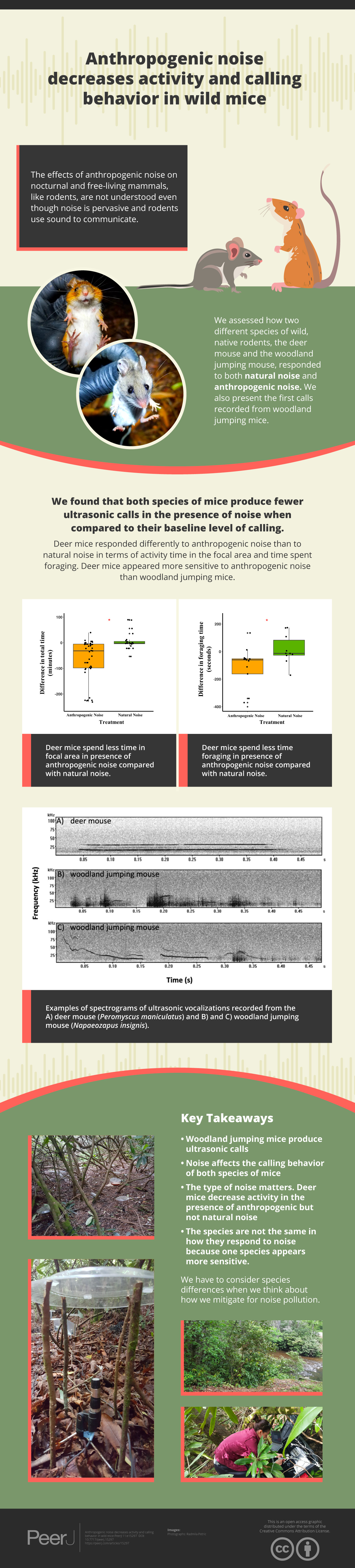 Anthropogenic noise decreases activity and calling behavior in wild ...