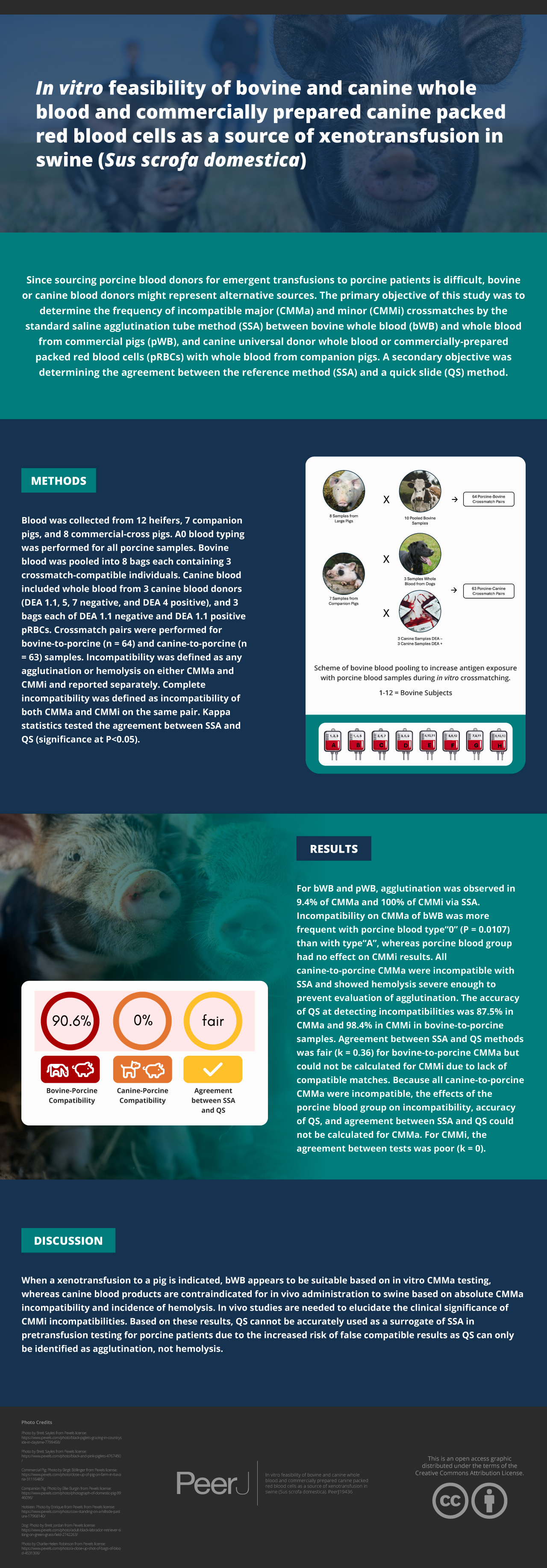 In vitro feasibility of bovine and canine whole blood and commercially ...